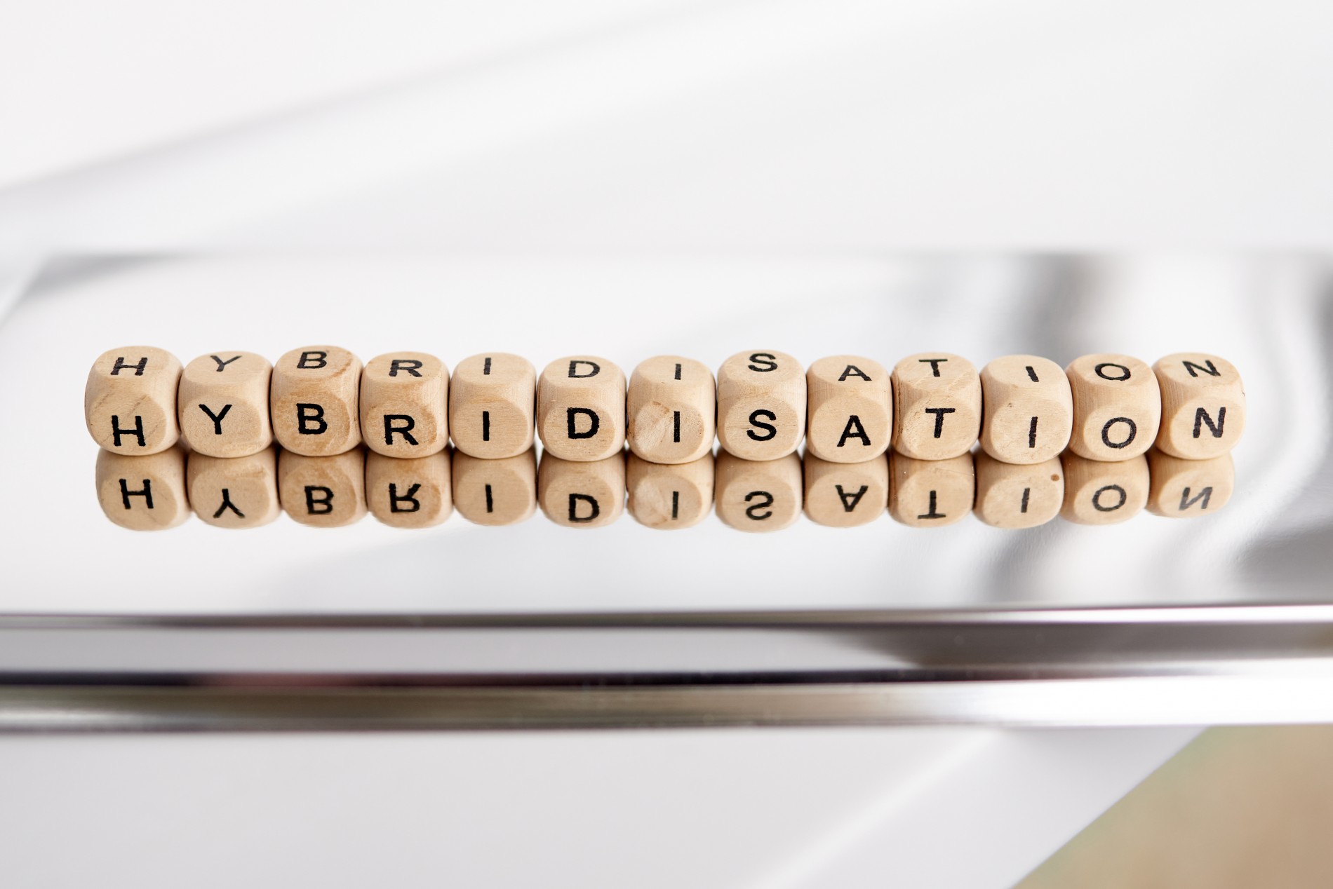 Hybridisation project in Madagascar financed by REPP - Trinity ...